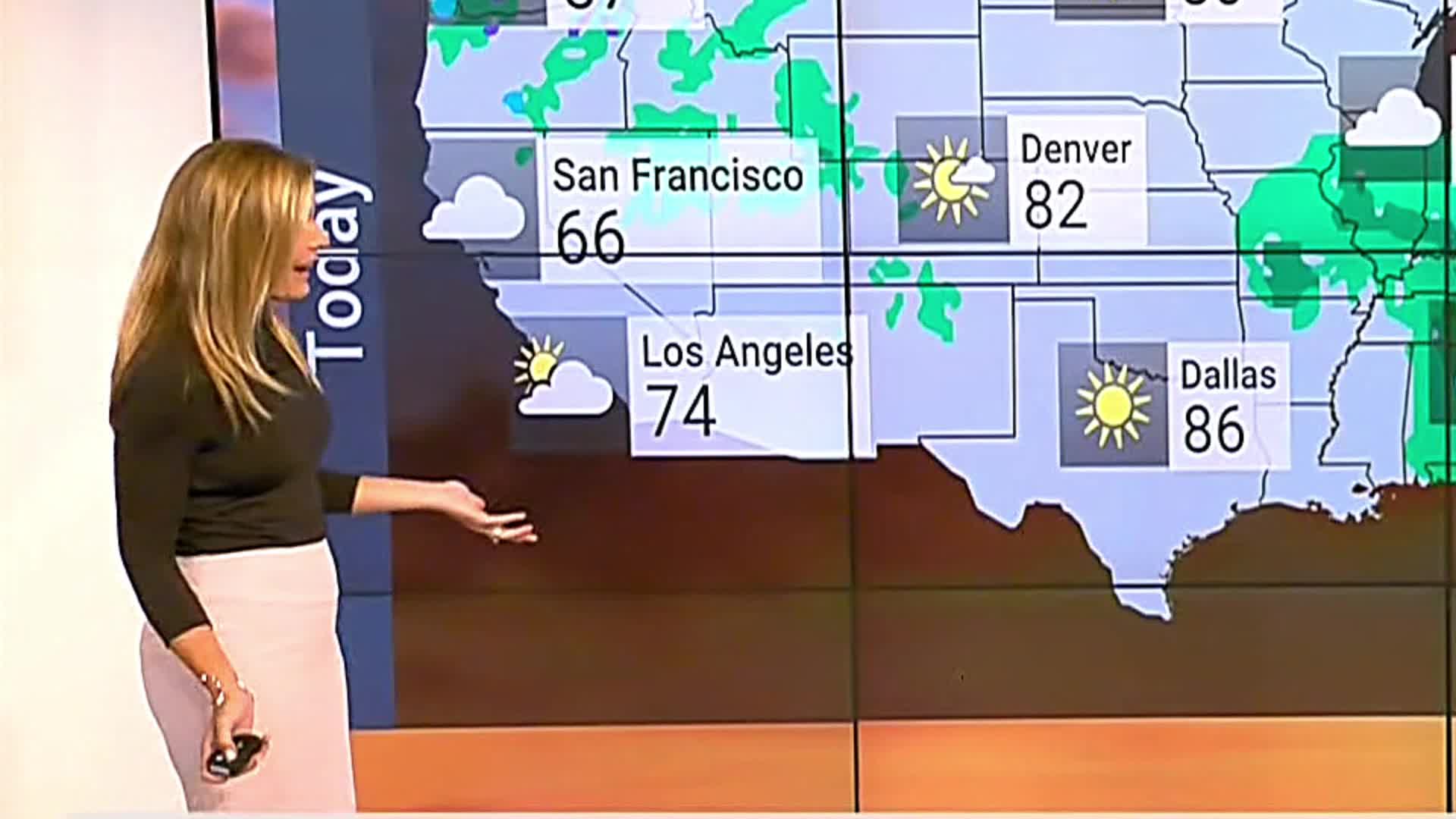 Jen Carfagno - The Weather Channel - 120821 Pink Skirt - Profile View ...