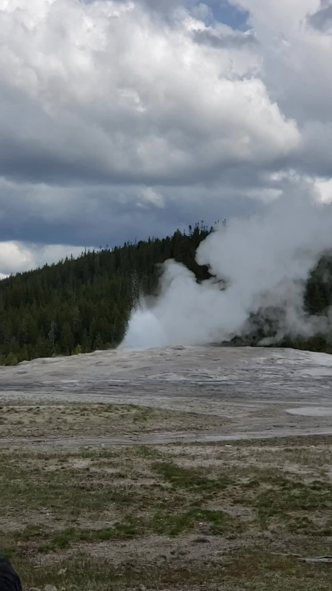 Old faithful goes off