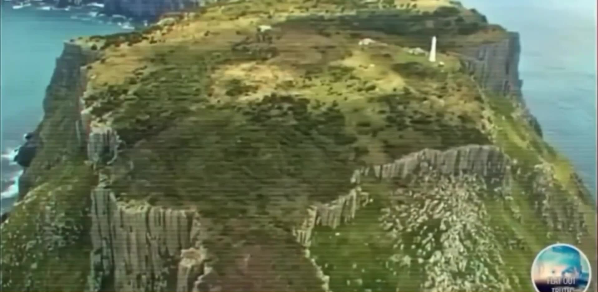 BIBLICAL PRE-FLOOD TREES! PART 1