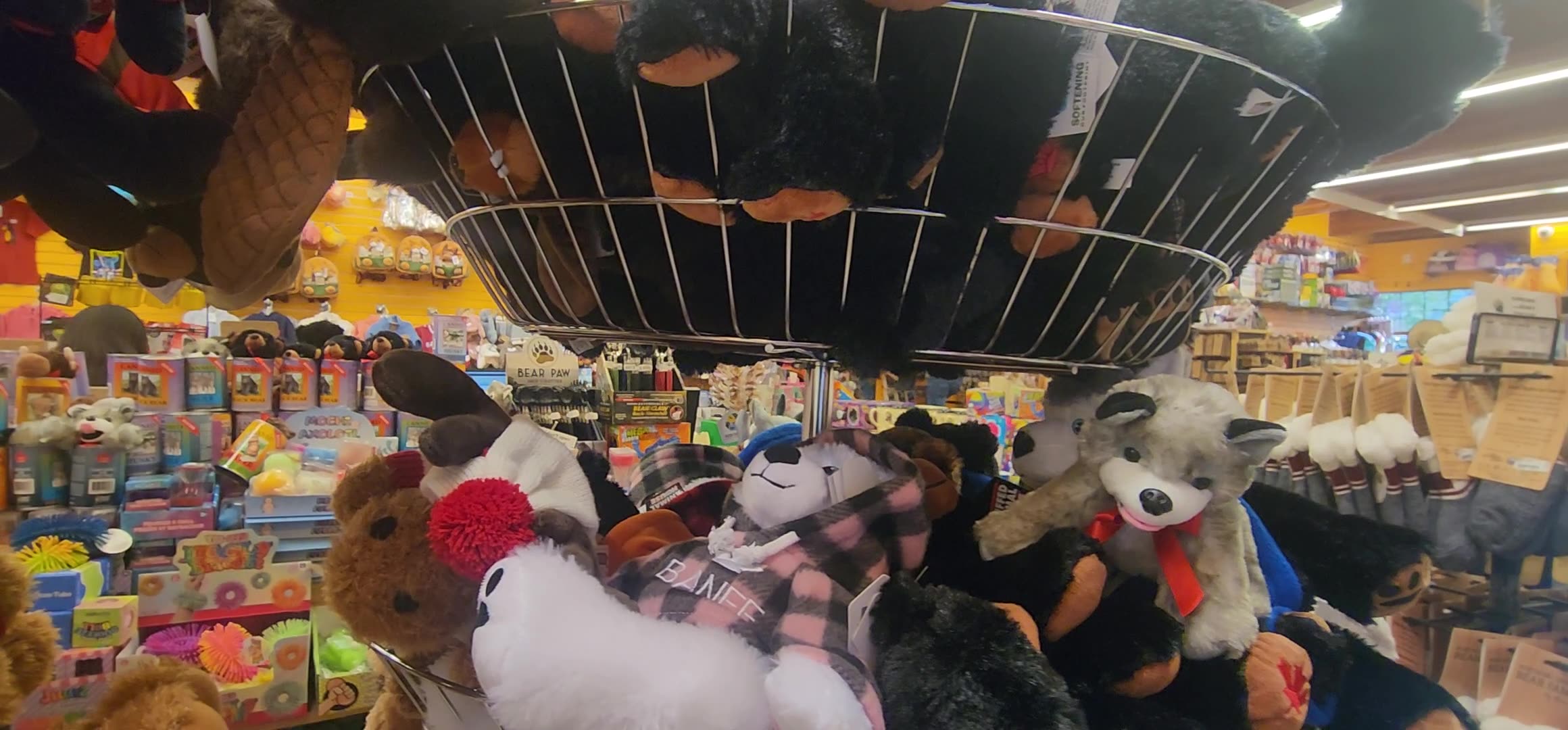 Going Inside The Local Banff Store in Canada Best Shopping Store In ...