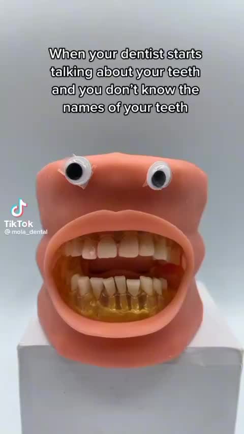 Facts about your teeth and mouth