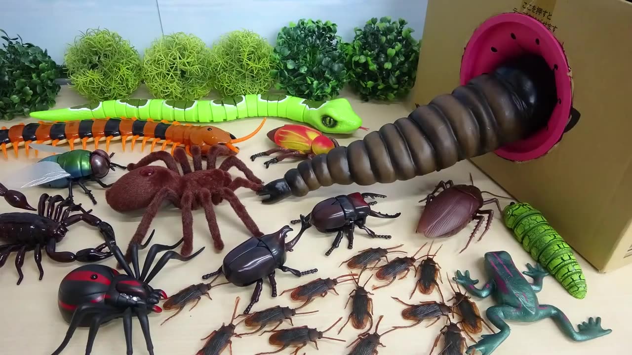 Various monsters insects