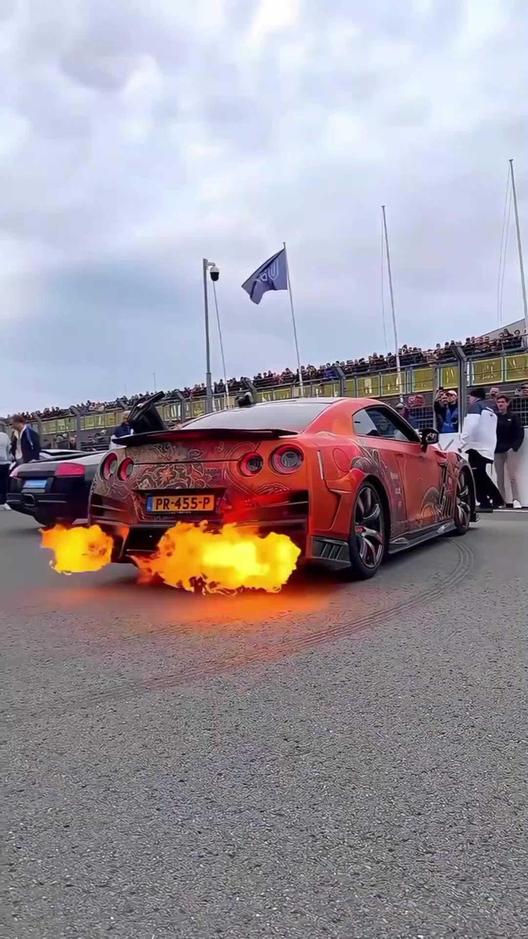 Your Ticket to the High Life 🎟️🛥️