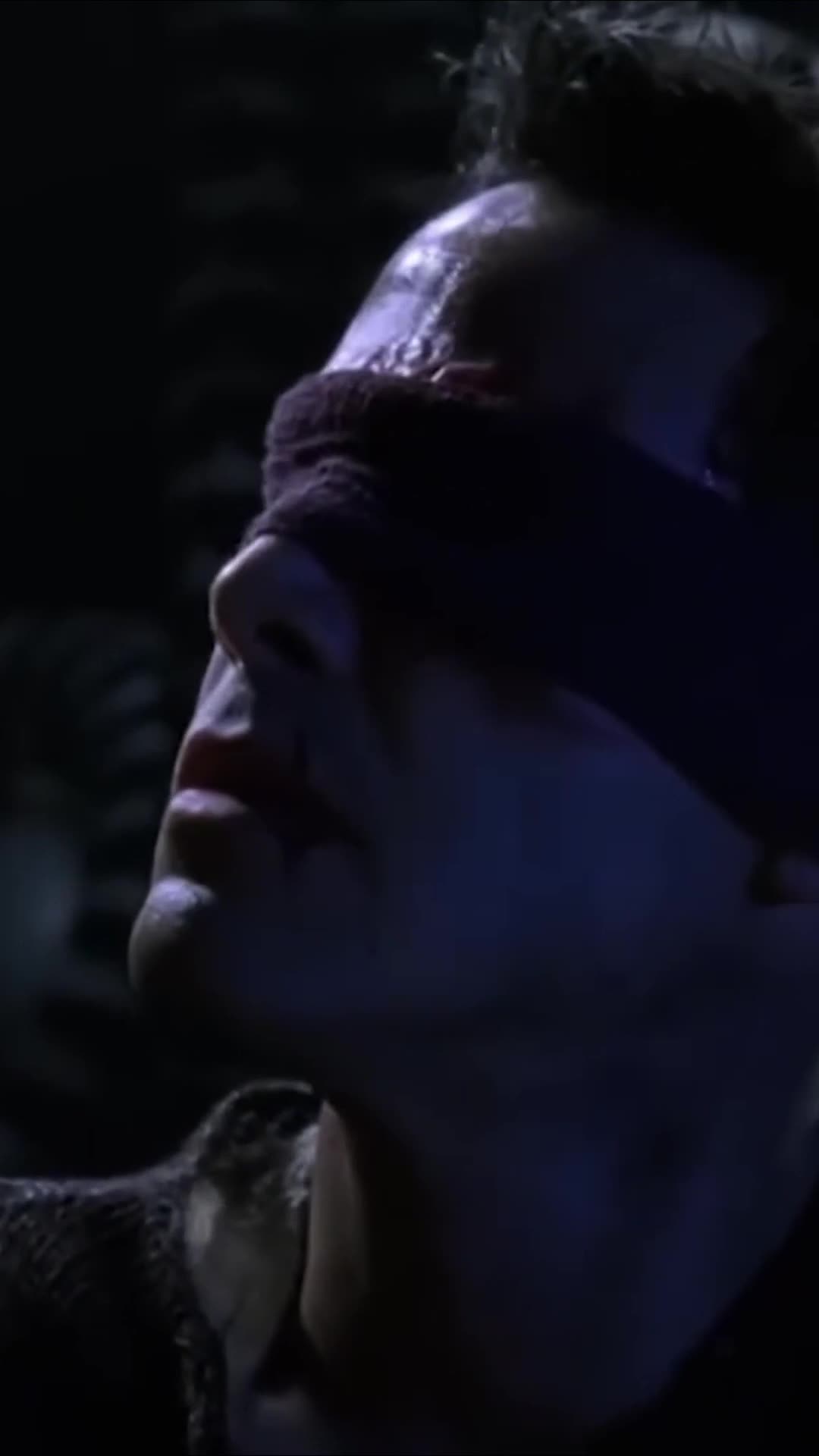 Unveiling the Symbolism in The Matrix: Exploring Visual Details and ...