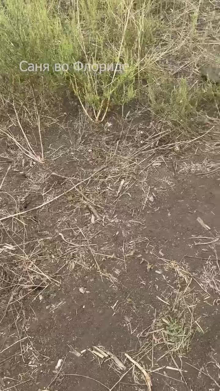 What a minefield looks like