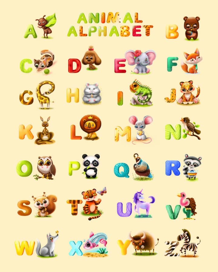 ABC Flashcard for Toddlers | Babies First Words and ABC Alphabets for ...