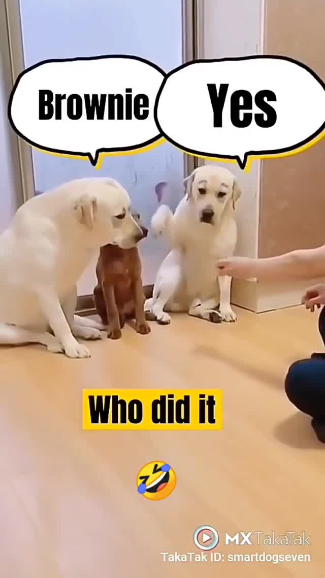 Why did u lied?
