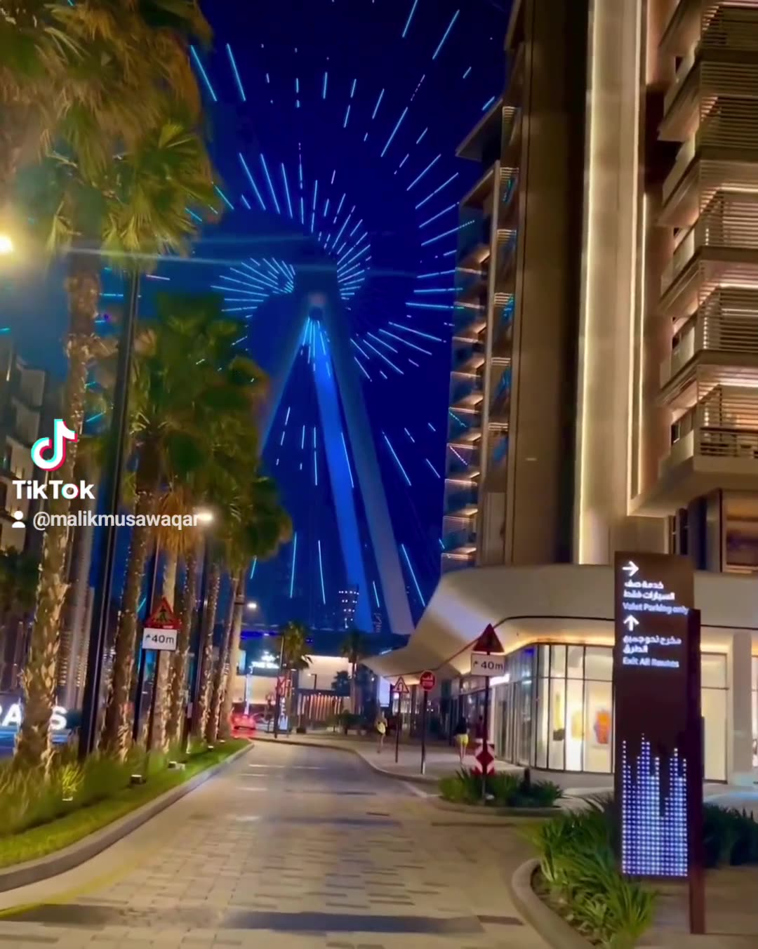World Largest Observation Wheel