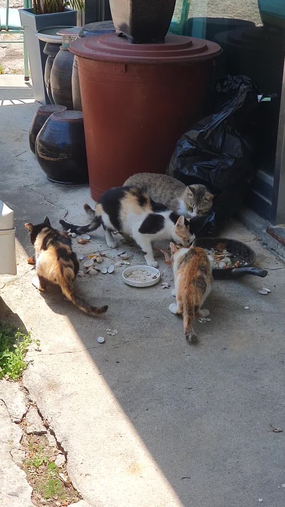 Whoa, whoa, whoa, you eat well!