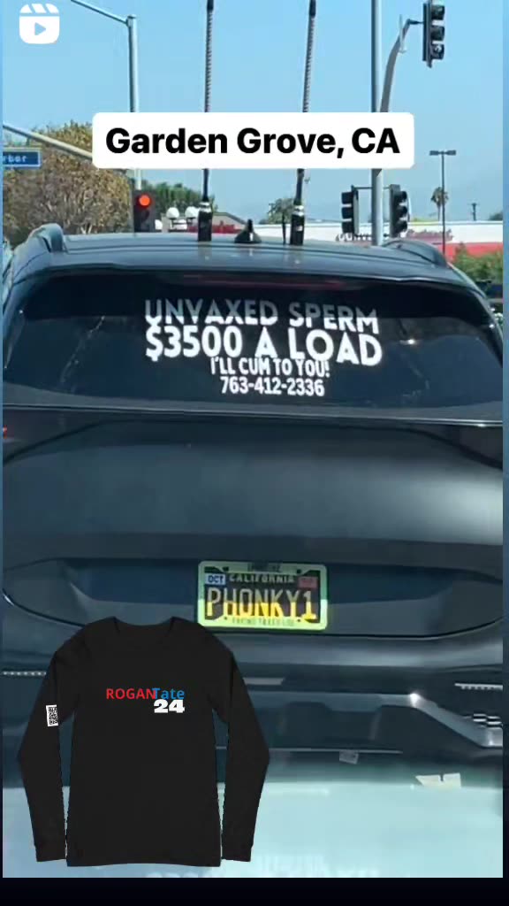 Business idea lucrative boack flat wrapped deal full car vinyl