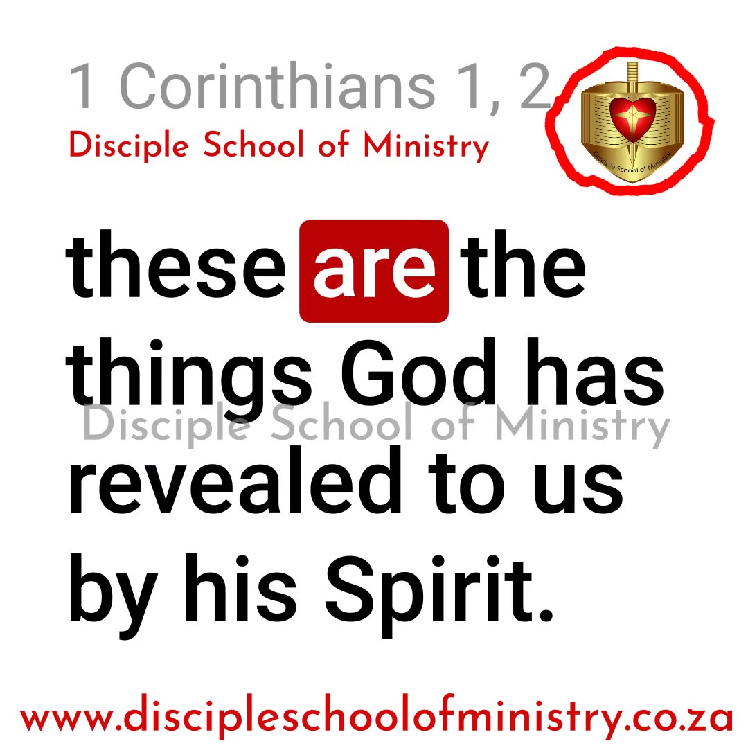 Your Daily Bible Reading for Today, Family: 3 01/10/2024 1 Corinthians ...