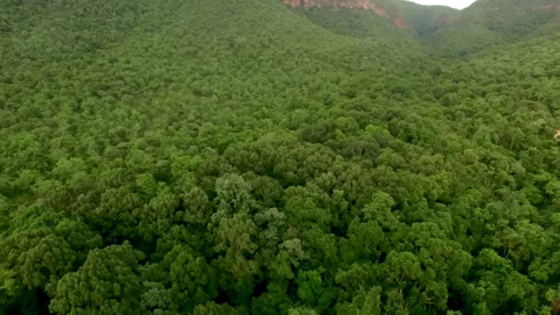 15 Minute Guided Zen Meditation for Increased Energy and Alignment