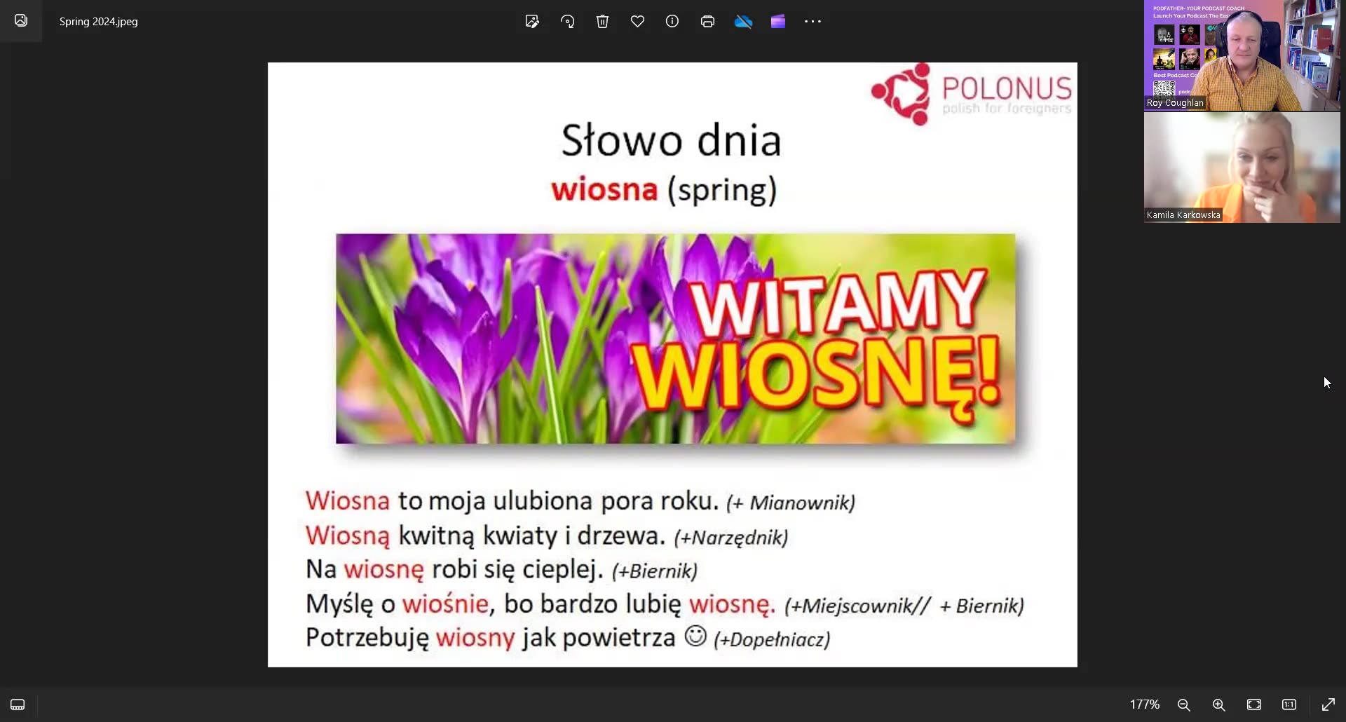 Welcome to Spring! An In-depth Dive into Polish Grammar