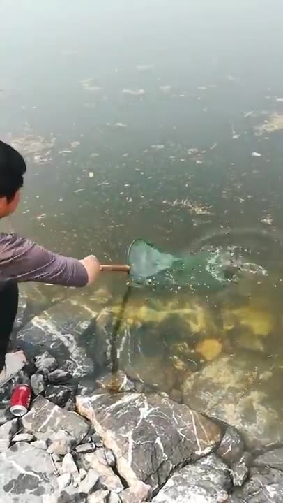 New Primitive Technology FISH TRAP with Fishing SR #short