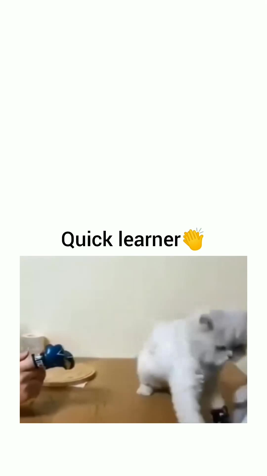 Very stylish and accurate punch 👊