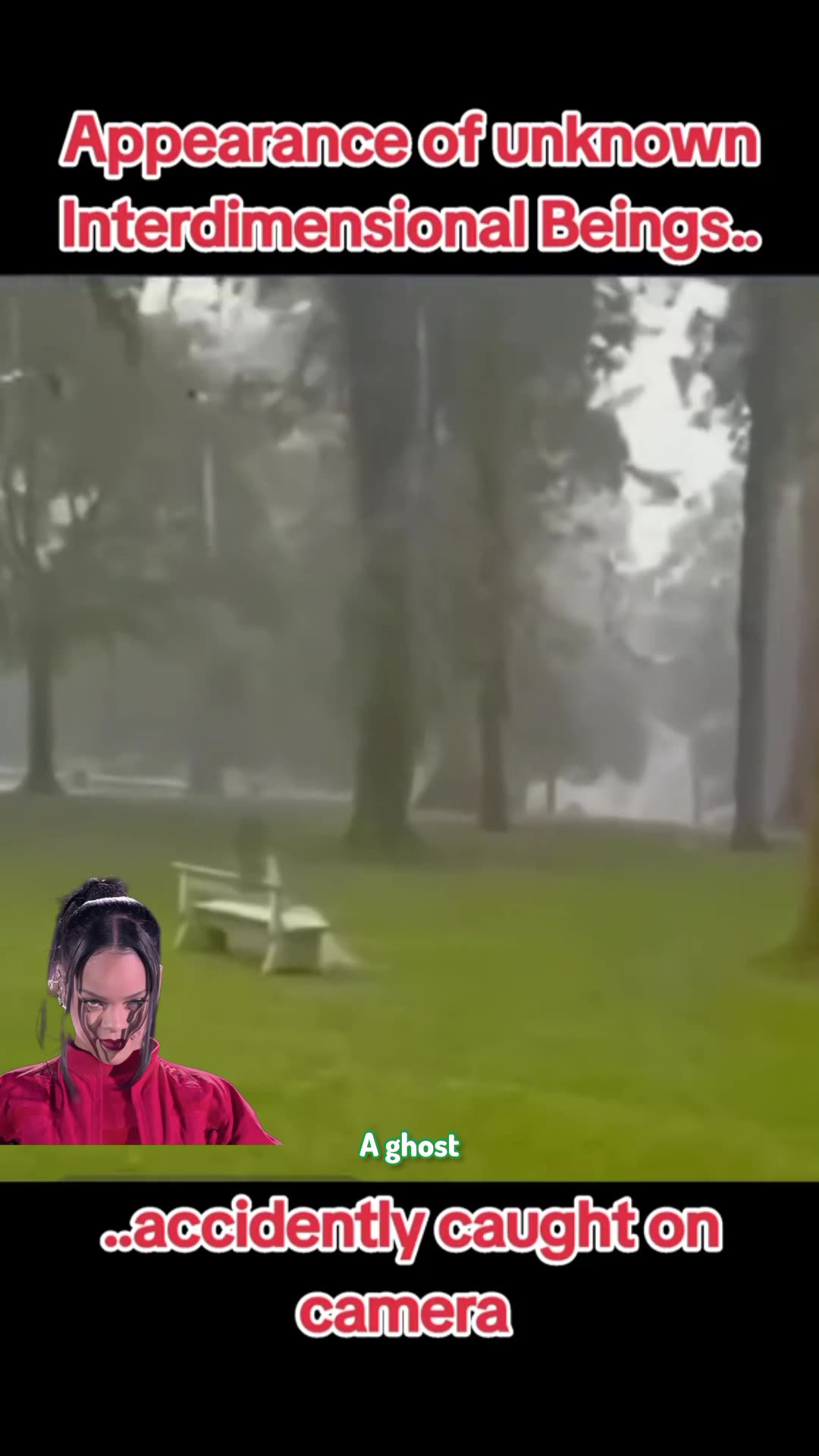 Strange creatures accidentally caught on camera