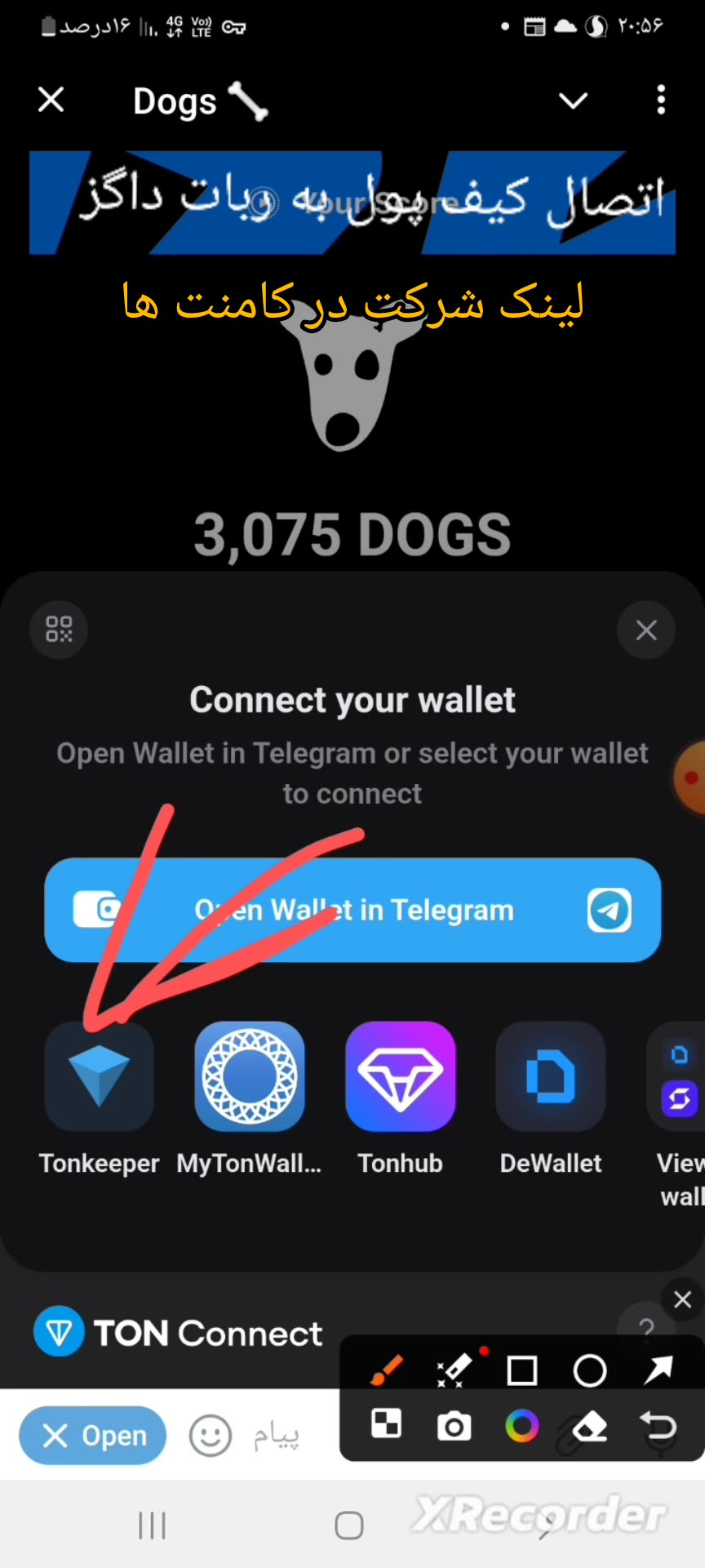 Learning how to connect the wallet to the Dogs robot