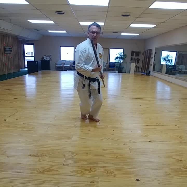 BoJutsu Training