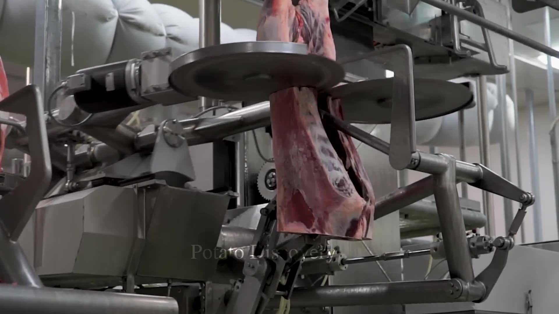 Raising Millions Of Goats - Modern Goat Meat Processing Machine That ...