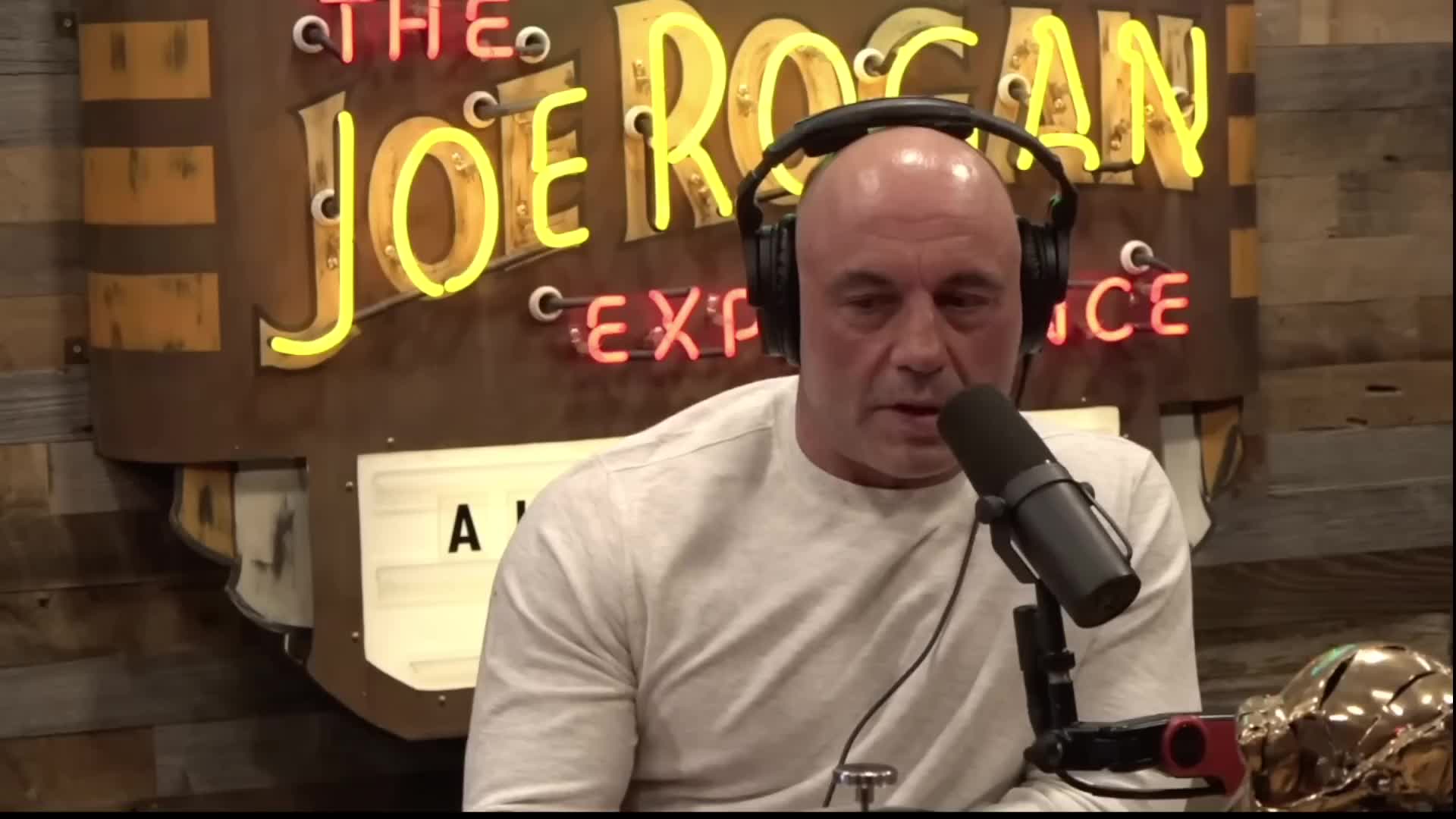 Joe Rogan: Elon Musk Is Exposing The WOKE LEFT Who Ran Twitter, So They ...