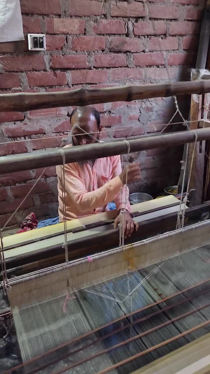 Saree Making Complete Process Using Silkworm