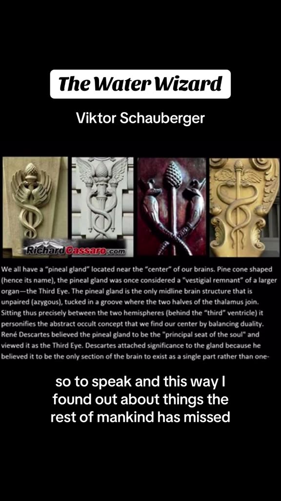 The Water Wizard Viktor Schauberger