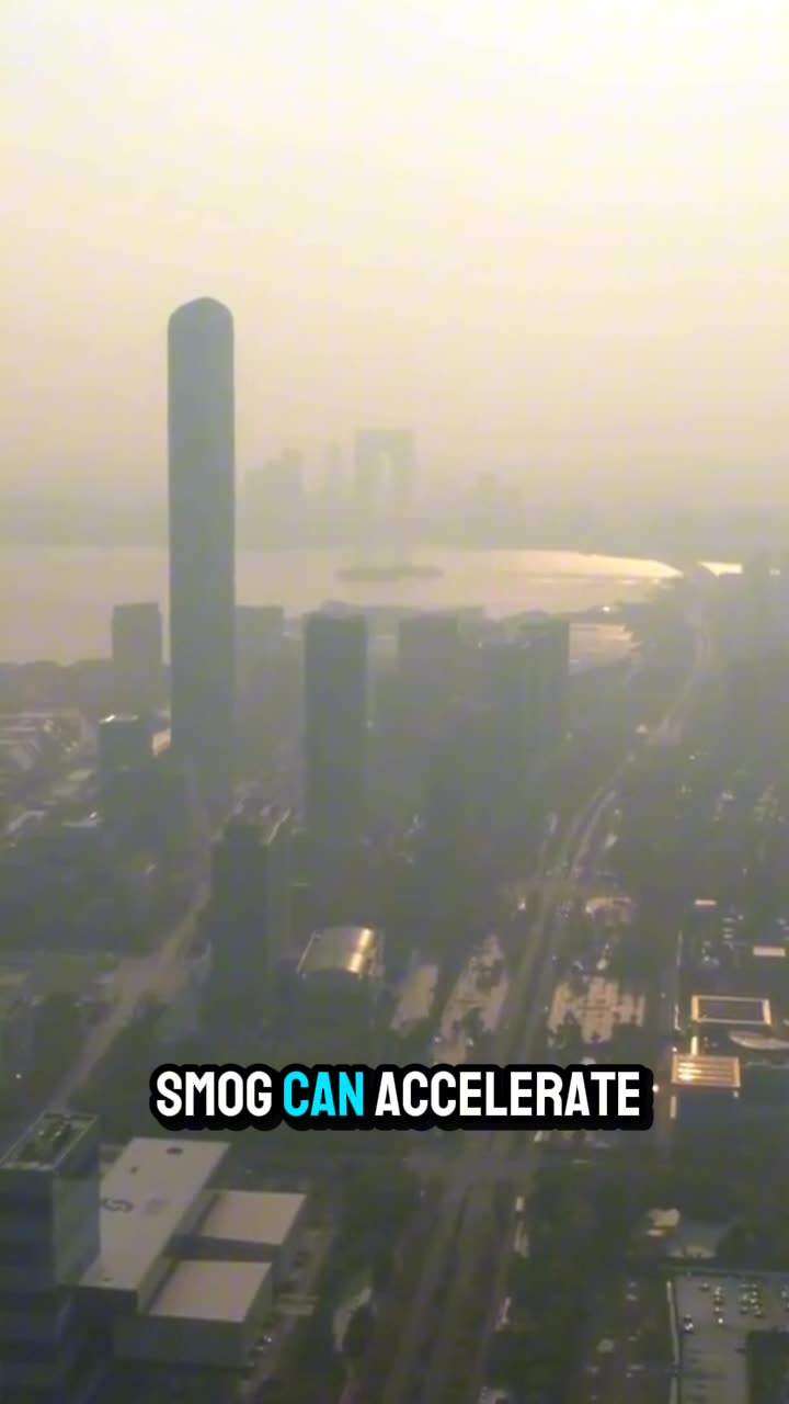 Smog is Injurious to Health: The Hidden Dangers and How It Affects Your ...