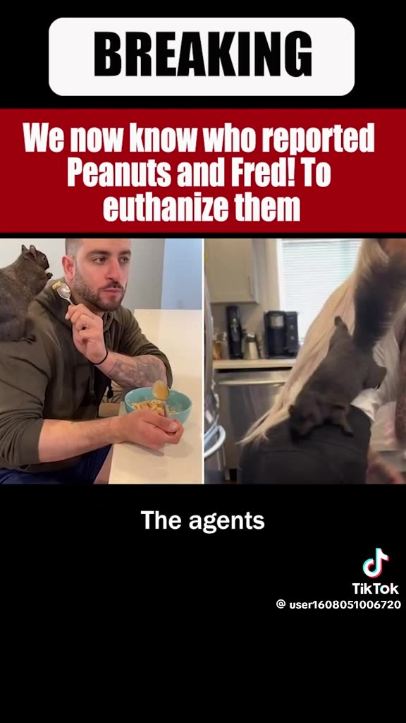 ⛔️BREAKING⛔️ We now know who reported Peanuts and Fred! To euthanize them