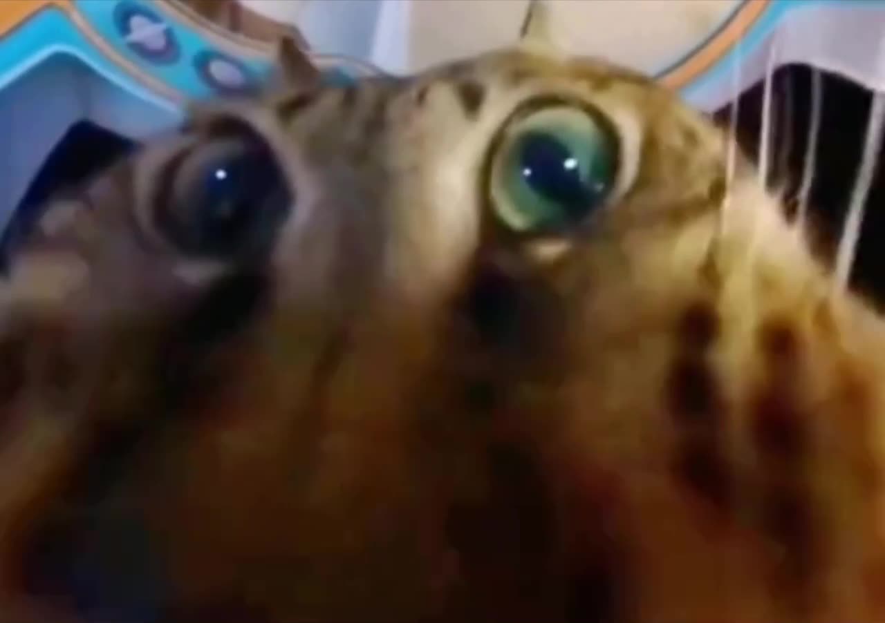 Munching sounds just as funny as the facial expression