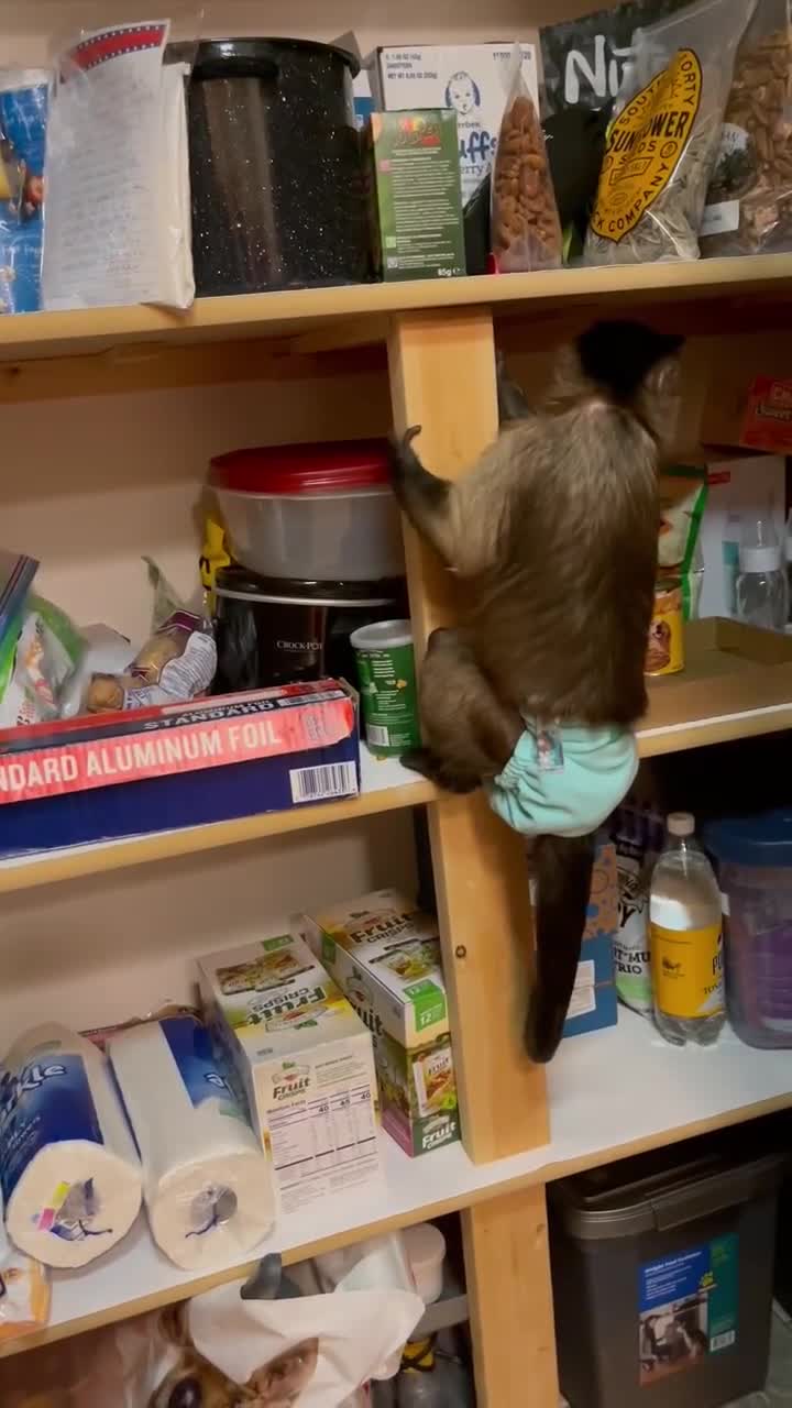 Trouble the famous gaitlyn Rae