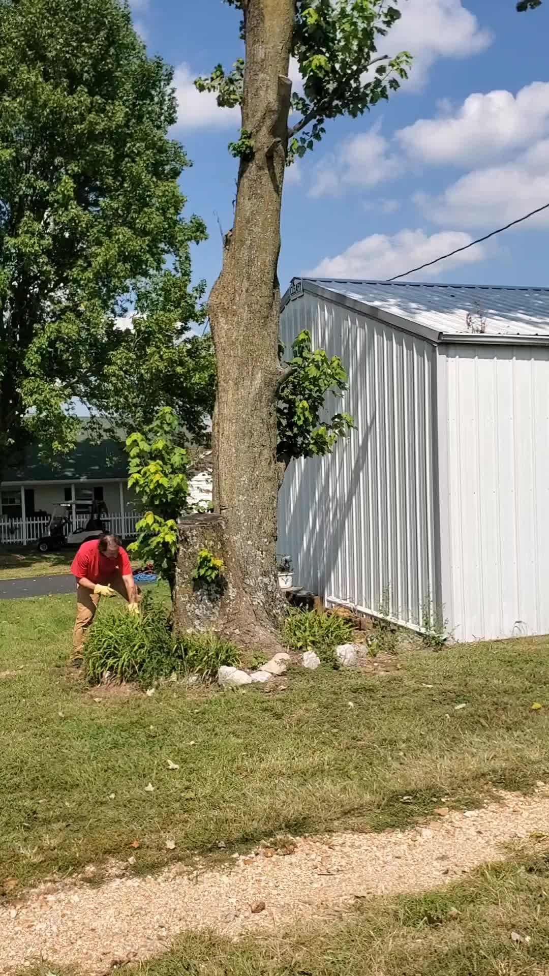 Monster In-law tree - the final day!