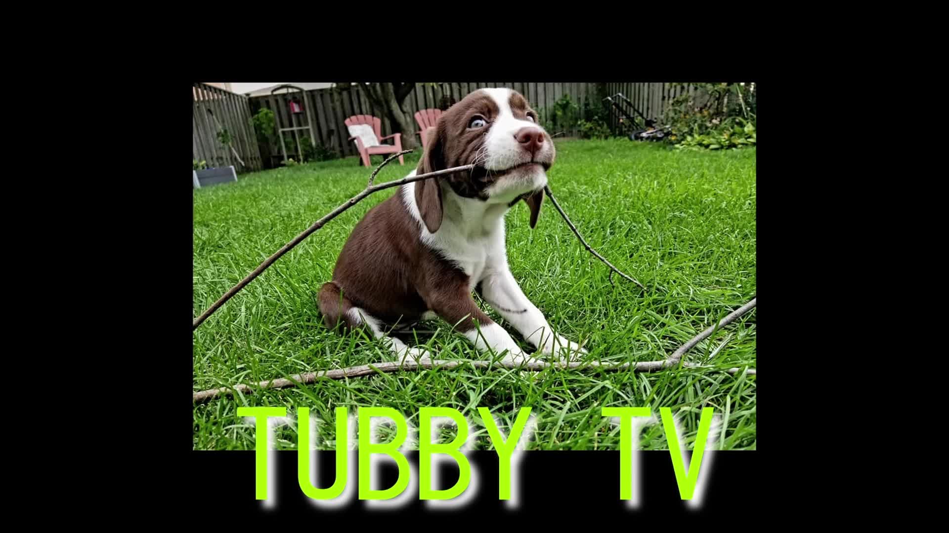 TUBBY TV - TUBBY'S NEW BED