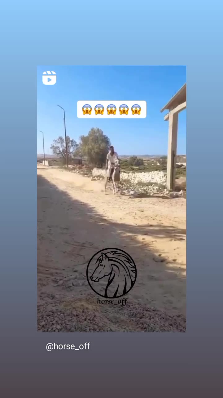 Funny meme 😁😁😁