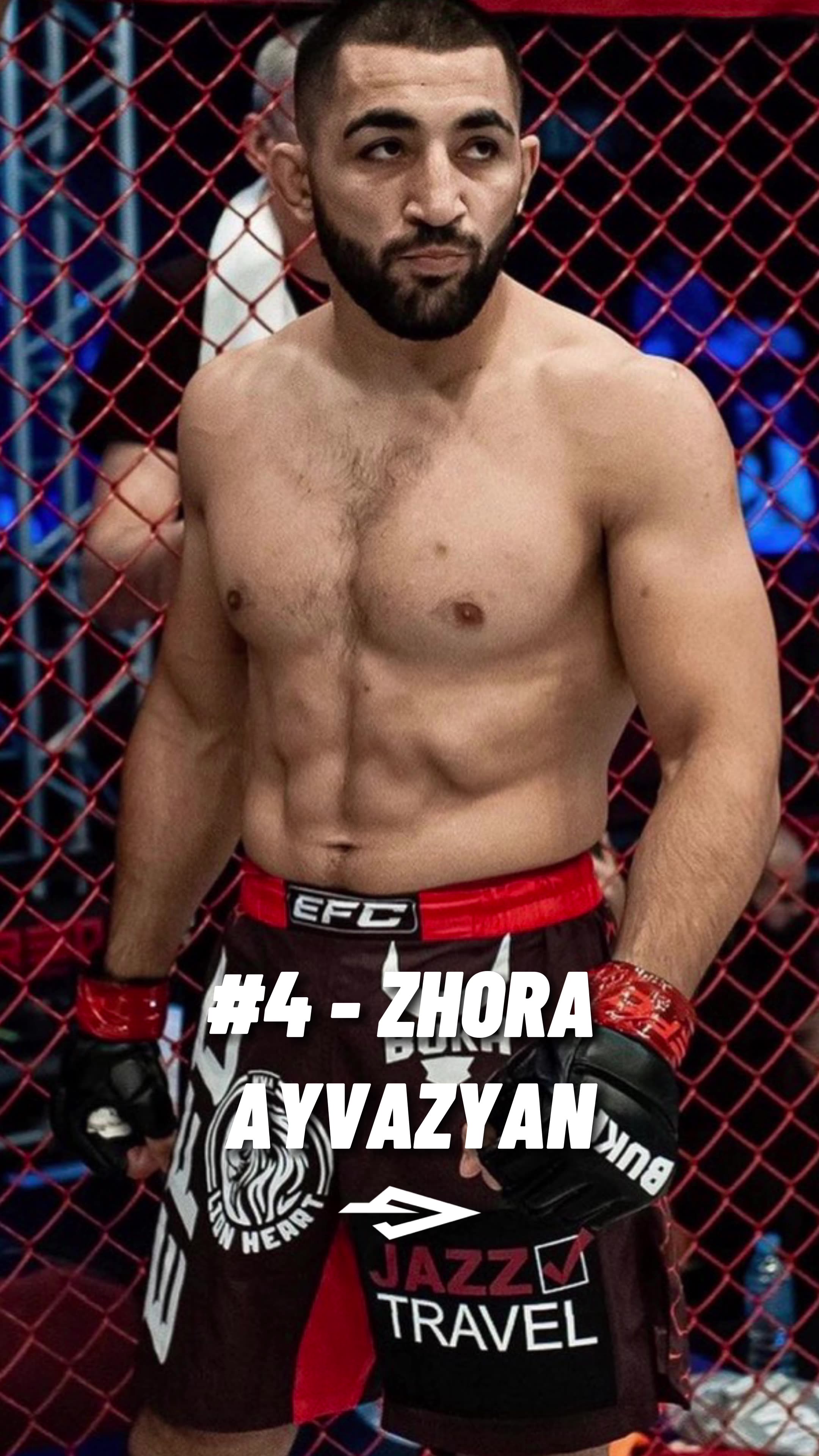 TOP 5 ARMENIAN MMA FIGHTERS