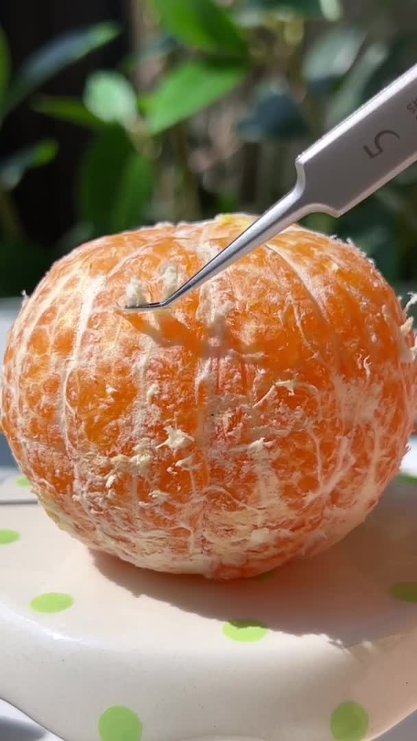 Best Of Chef Cat ChangAn Tiktok Compilation | Cat Cooking Food