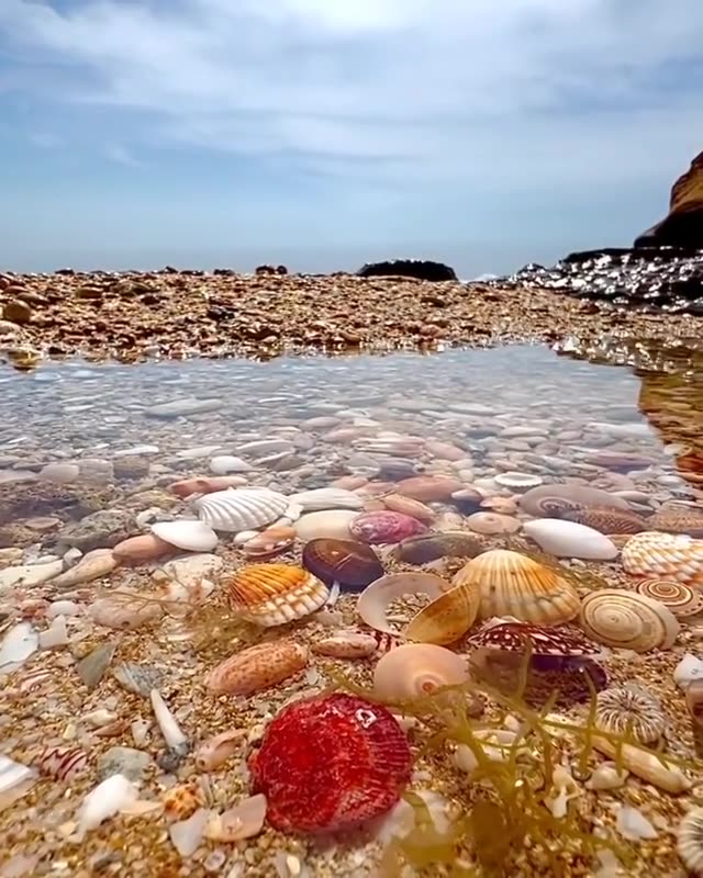 Beautiful and colorful beaches of Hormozgan - iran