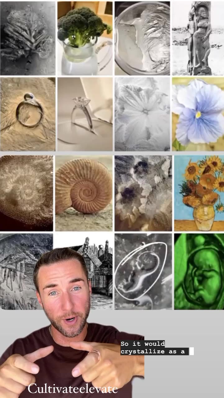 ABSOLUTELY REMARKABLE | WATER AND THE WORK OF VEDA AUSTIN