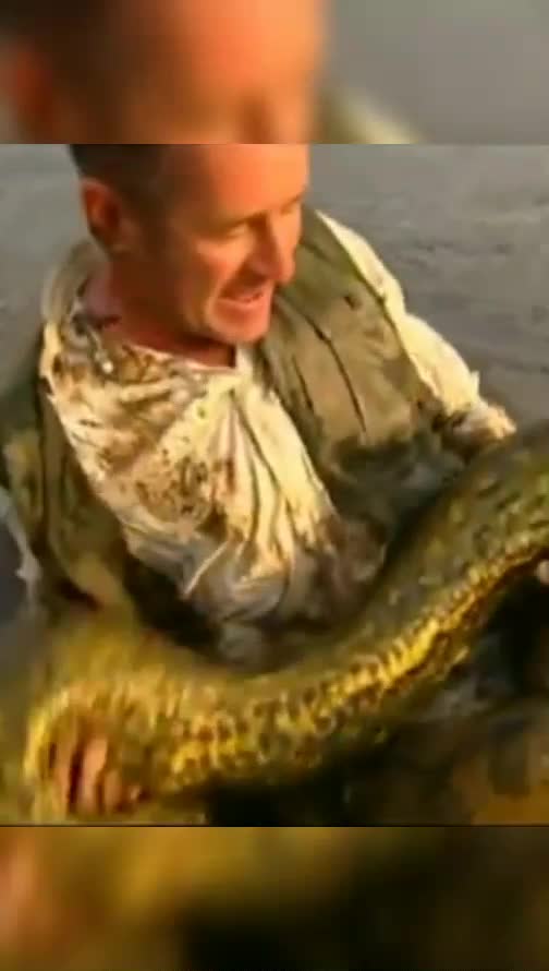 Snake vs man fighting