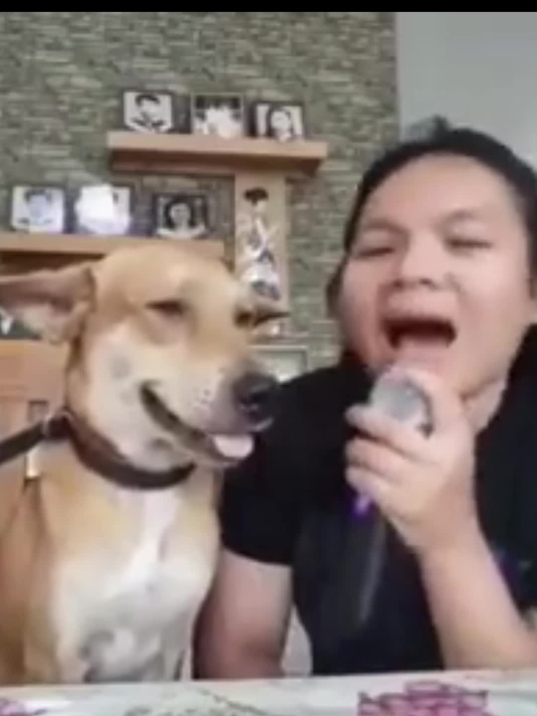 Dog singing My Heart will go on | Amazing animals | Talented dog