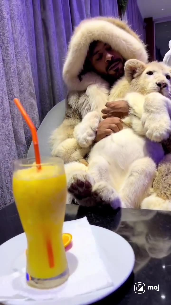 Dubai 🇦🇪 King 👑 Sheikh Nawab With White Tiger 🐯 Lion 🦁 White Tiger 🐅 # ...