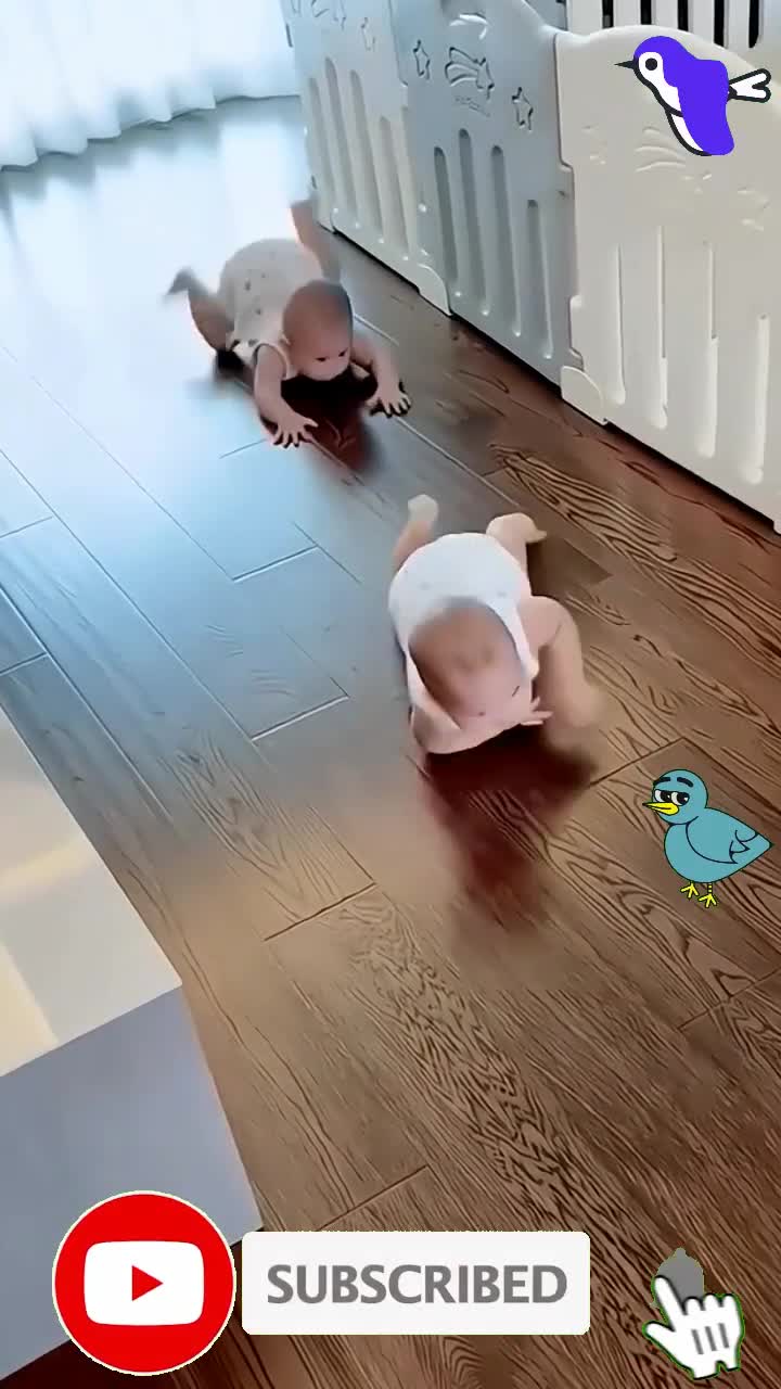 Exotic Kids @ Birds Breeding Setup Alnoor Avi -Kids Enjoying the ...