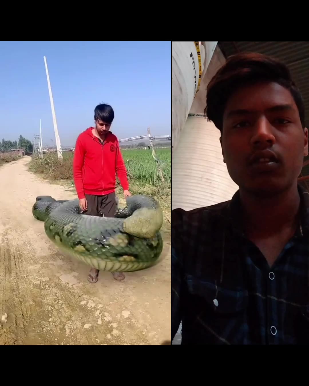 Anaconda_Snake 🐍 Chasing Boy Video Reaction😯#reaction #shots