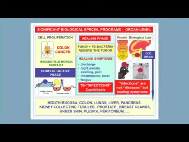 Virus Mania - The Truth About Infectious Diseases German New Medicine ...