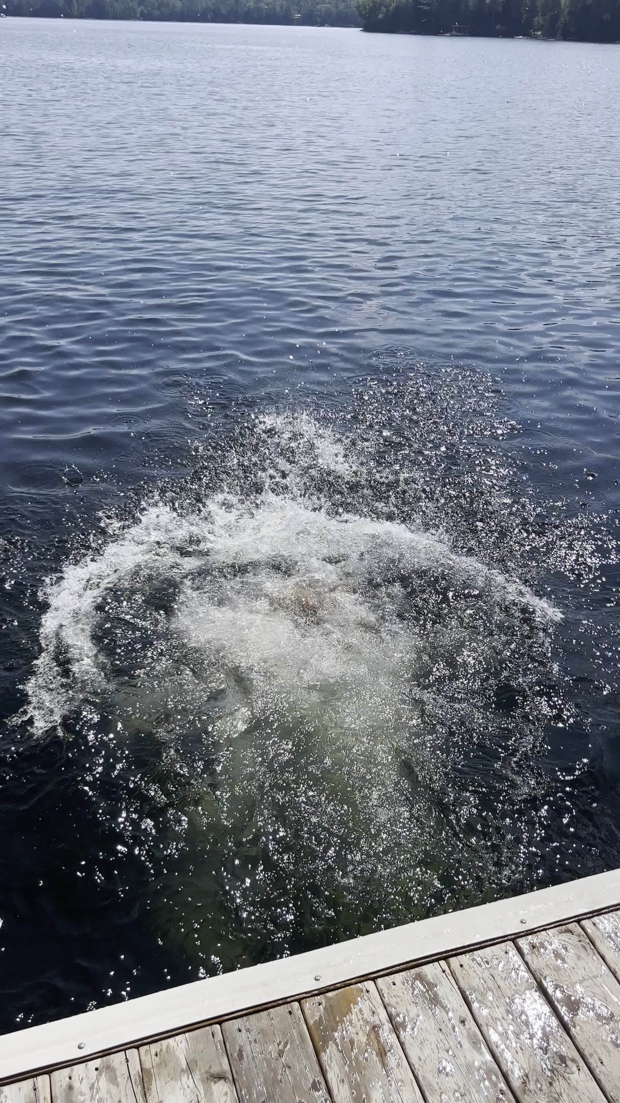Life Jacket Diaper Trick for Drinks in the Lake