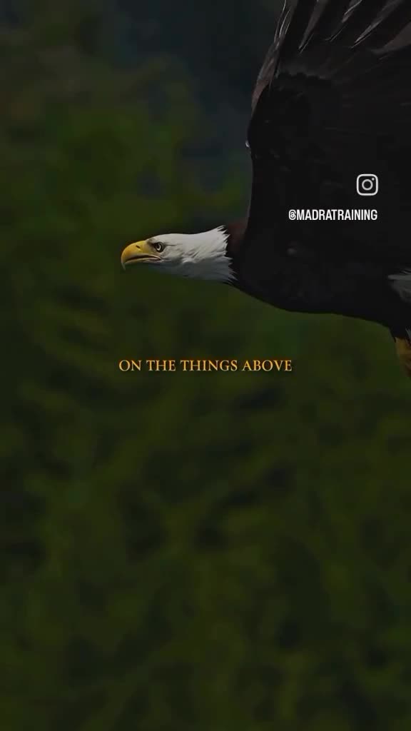 Positive Inspiration + Keep flying high like an eagle