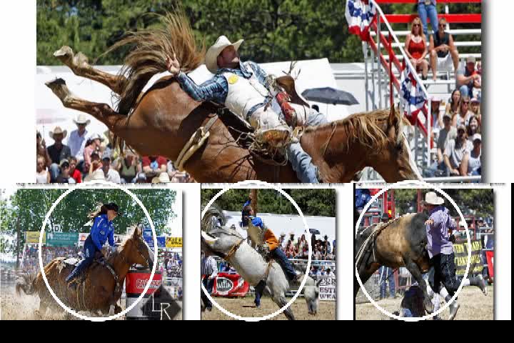 Elizabeth Stampede Rodeo Photos 2014-2019