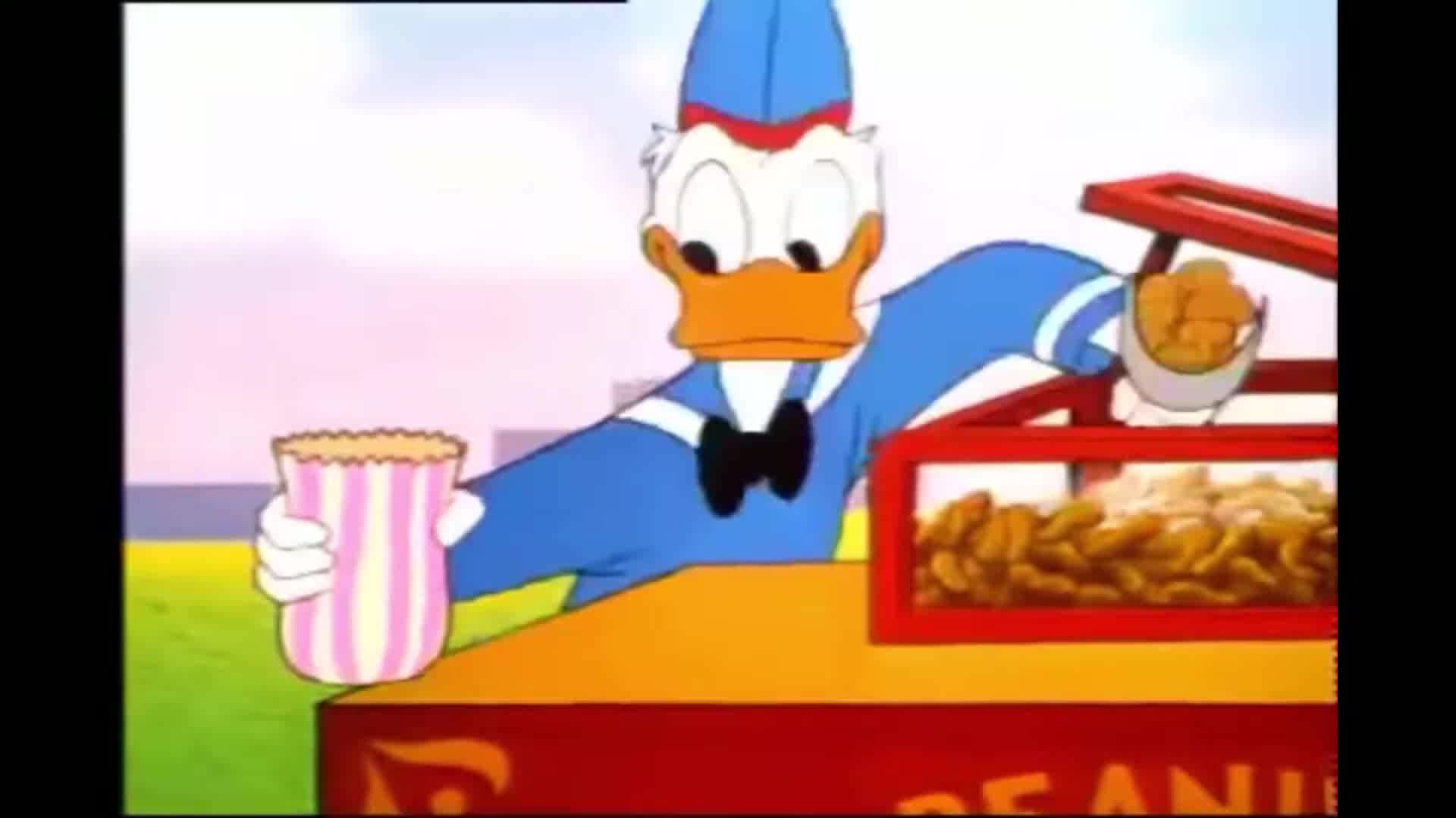 Donald Duck fighting with Flying Squirrel|Disney|Kids cartoon|Funny ...