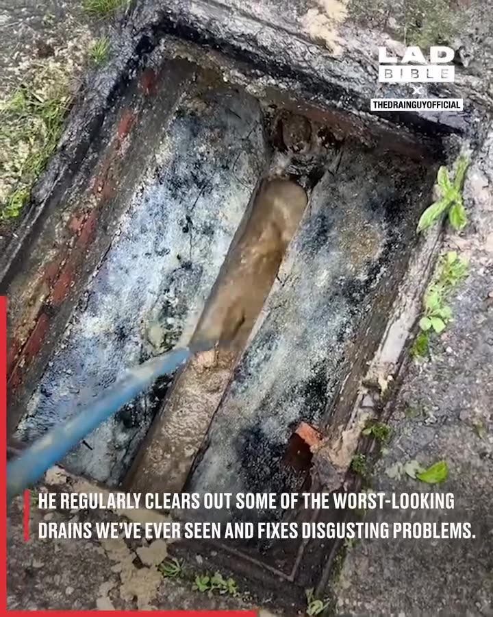 Unbelievable drain cleans