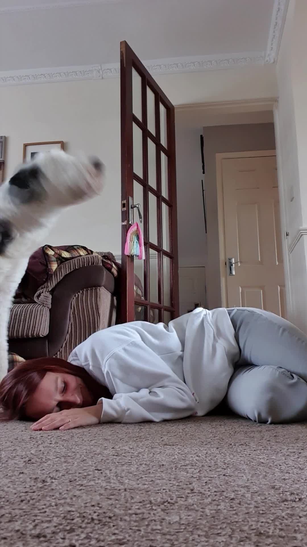 Pretend to faint infront of your dogs