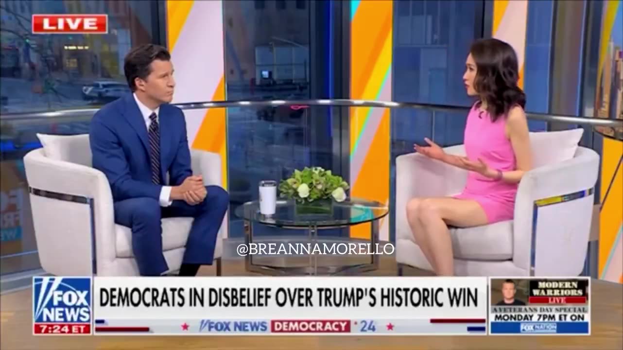 DNC official Lindy Li called the Harris campaign a “$1 billion disaster ...